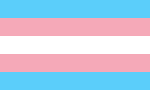 We Will Not Be Erased! Support Trans Storytellers!
